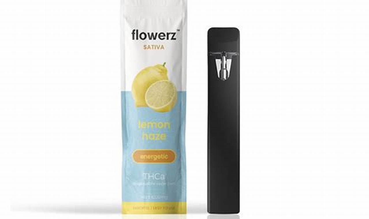 Haze Disposable Vape Review: Worth the Hype? [2024]