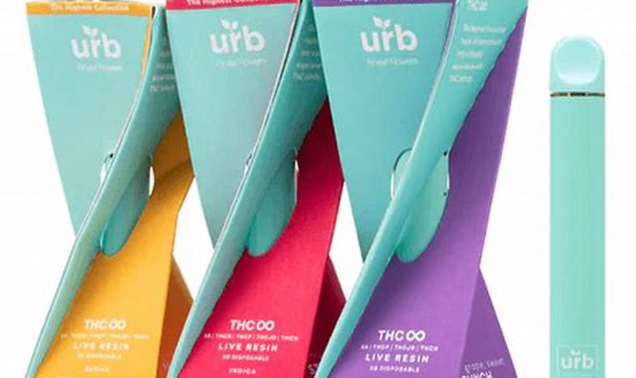 Urb Disposable Vape Review: Worth it? | 2024
