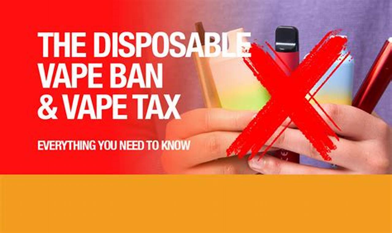 Idaho Vape Ban 2025: What's Next for Vaping in ID?