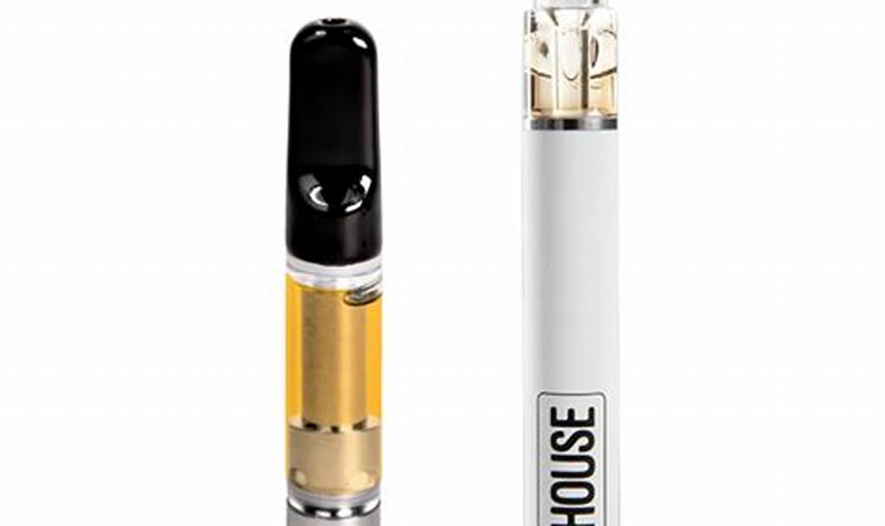 Shop In-House Disposable Vapes: Quality & Value
